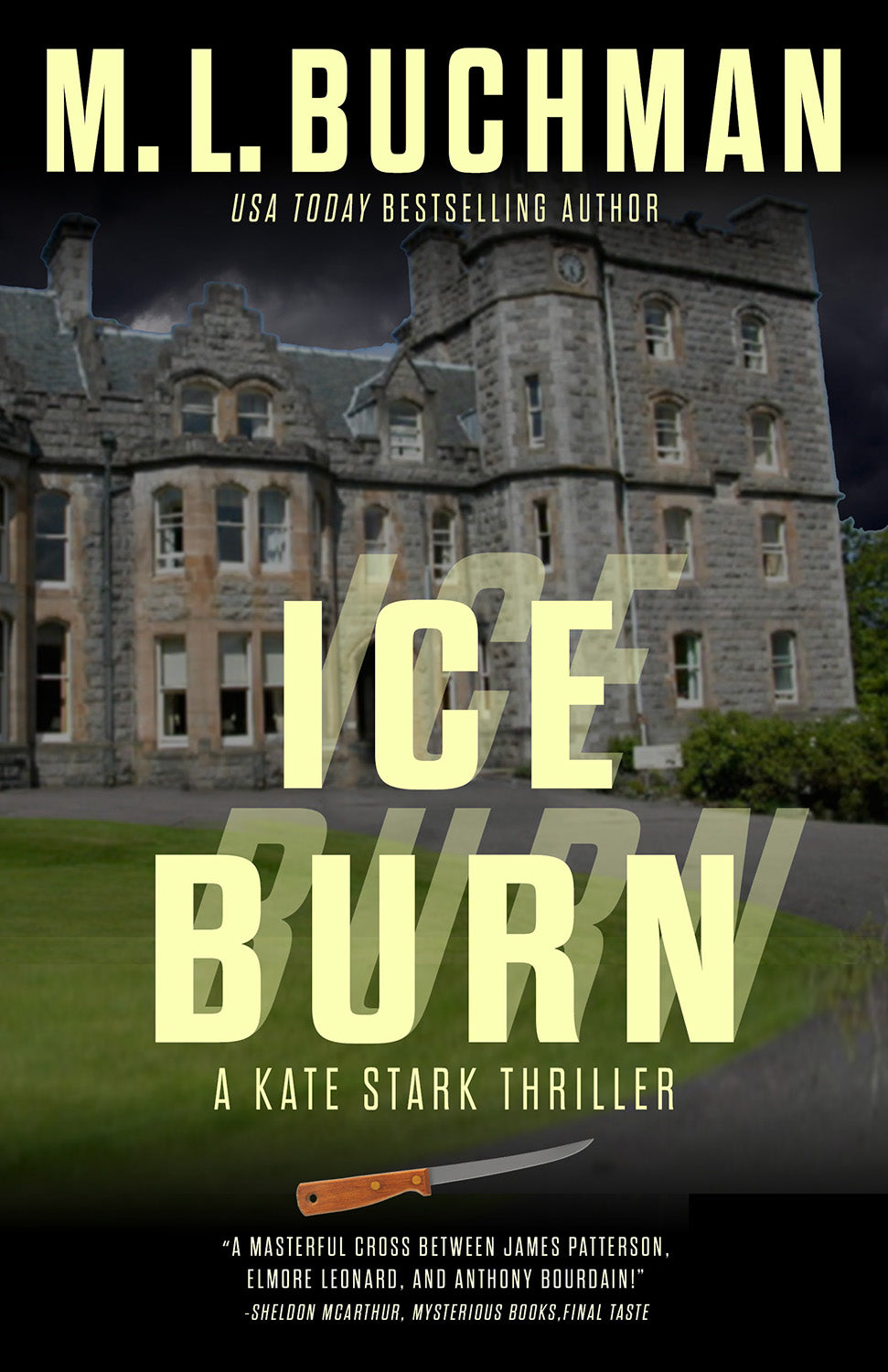 Ice Burn – Buchman Bookworks, Inc.